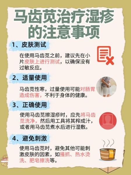 马齿苋治湿疹多久见效_马齿苋治湿疹怎么用-第1张图片-山城妙识 马齿苋治湿疹多久见效_马齿苋治湿疹怎么用-第1张图片-山城妙识