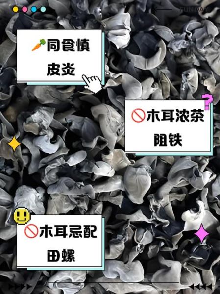 木耳不能和什么一起吃_木耳相克食物表-第1张图片-山城妙识