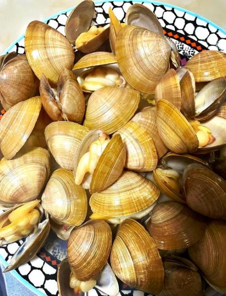 蚬子怎么快速吐沙子_蚬子吐沙最快的方法-第3张图片-山城妙识