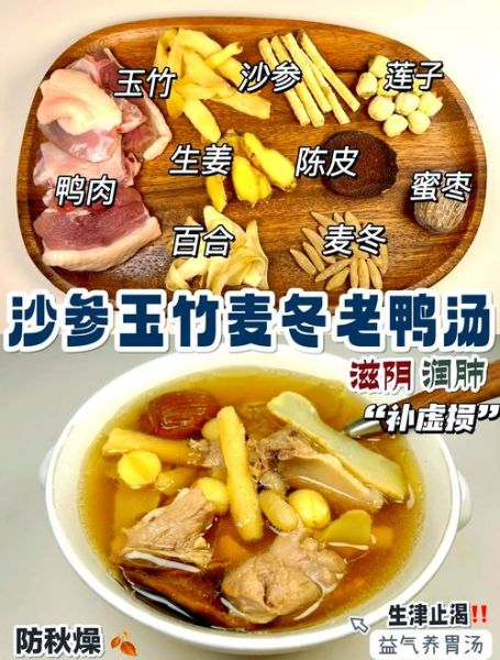 怎样炖鸭子汤好喝_鸭子汤怎么炖不腥-第1张图片-山城妙识 怎样炖鸭子汤好喝_鸭子汤怎么炖不腥-第1张图片-山城妙识