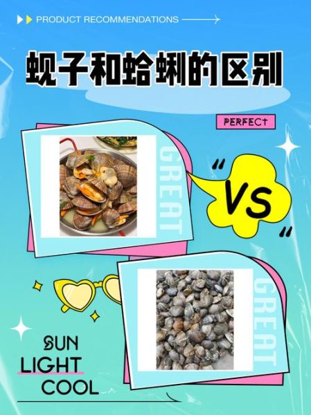 白蚬子和花蛤的区别_哪个更鲜美-第1张图片-山城妙识