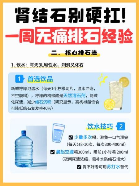 肾结石吃什么药排石快_排石药多久见效-第3张图片-山城妙识