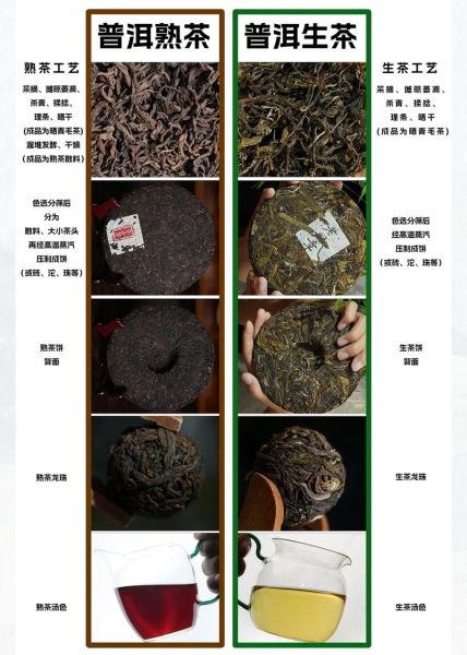 普洱茶生茶和熟茶的功效区别_生茶熟茶哪个更适合你-第1张图片-山城妙识