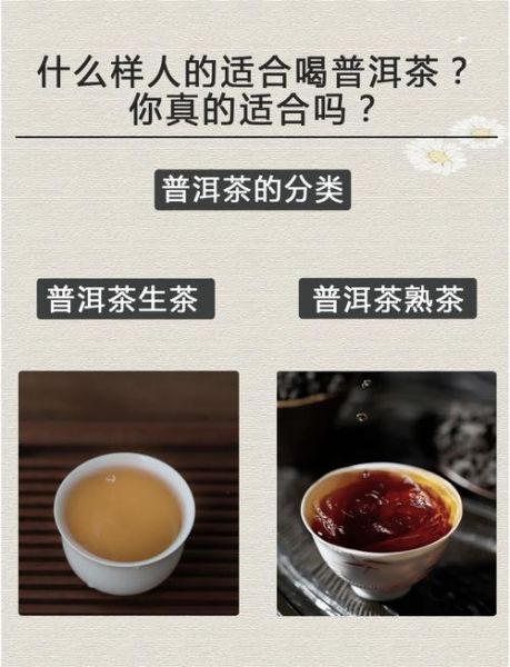 普洱茶生茶和熟茶的功效区别_生茶熟茶哪个更适合你-第3张图片-山城妙识