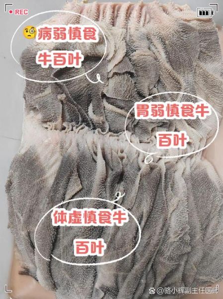 牛肚和牛百叶哪个贵_价格差异原因-第1张图片-山城妙识 牛肚和牛百叶哪个贵_价格差异原因-第1张图片-山城妙识