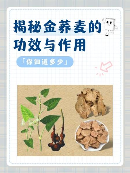 金荞麦胶囊的功效与作用_金荞麦胶囊怎么吃-第3张图片-山城妙识 金荞麦胶囊的功效与作用_金荞麦胶囊怎么吃-第3张图片-山城妙识