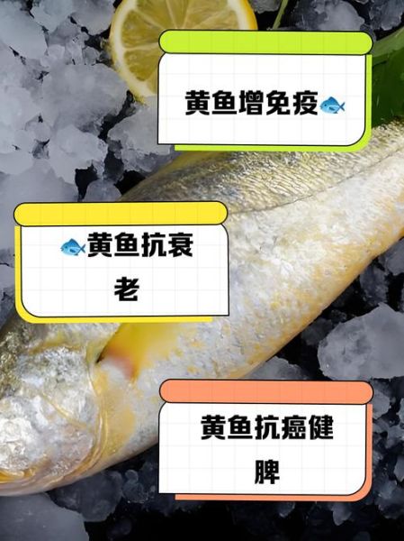 黄花鱼的营养价值_黄花鱼适合什么人吃-第2张图片-山城妙识