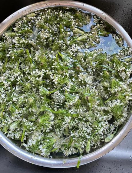 怎样腌韭菜花好吃_韭菜花腌制秘诀-第1张图片-山城妙识