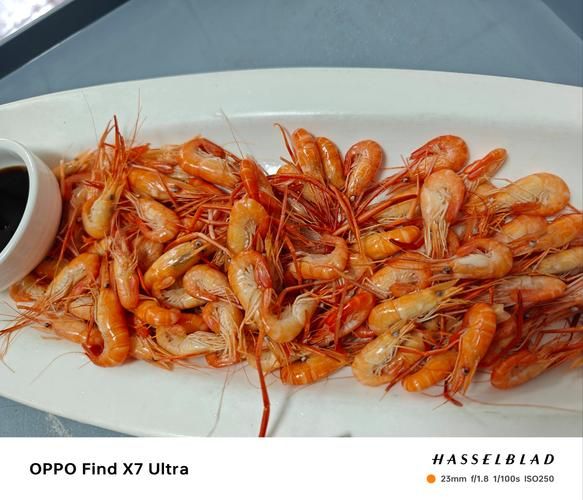 白水煮河虾怎么做_白水煮河虾需要焯水吗-第3张图片-山城妙识