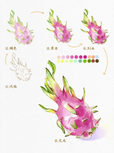 火龙果图片卡通_怎么画才可爱-第3张图片-山城妙识