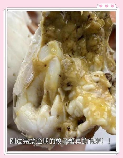 梭子蟹死了能不能吃_死了多久不能吃-第1张图片-山城妙识