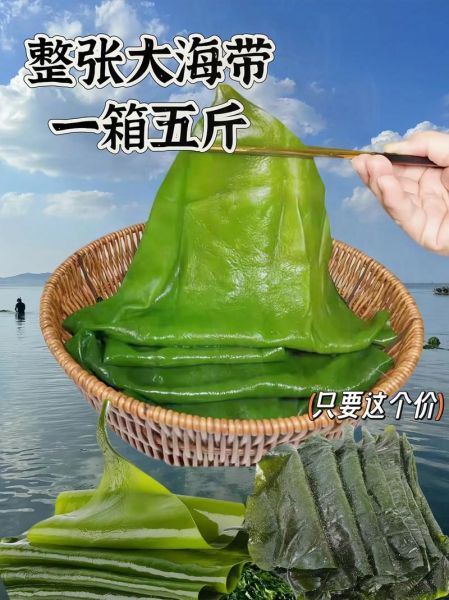海带能降胆固醇吗_海带怎么吃最健康-第3张图片-山城妙识