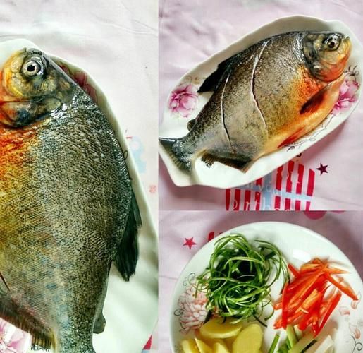 清蒸武昌鱼怎么做_清蒸武昌鱼蒸几分钟才嫩-第2张图片-山城妙识