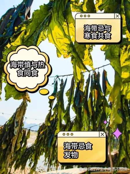 海带能降胆固醇吗_海带怎么吃最健康-第2张图片-山城妙识