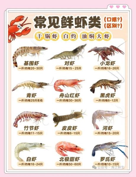 虾的营养价值高吗_虾的功效与作用有哪些-第3张图片-山城妙识