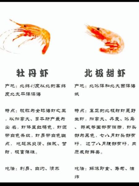 虾的营养价值高吗_虾的功效与作用有哪些-第2张图片-山城妙识