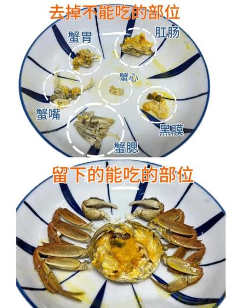 螃蟹吃哪里的肉图解_螃蟹哪些部位不能吃-第3张图片-山城妙识 螃蟹吃哪里的肉图解_螃蟹哪些部位不能吃-第3张图片-山城妙识