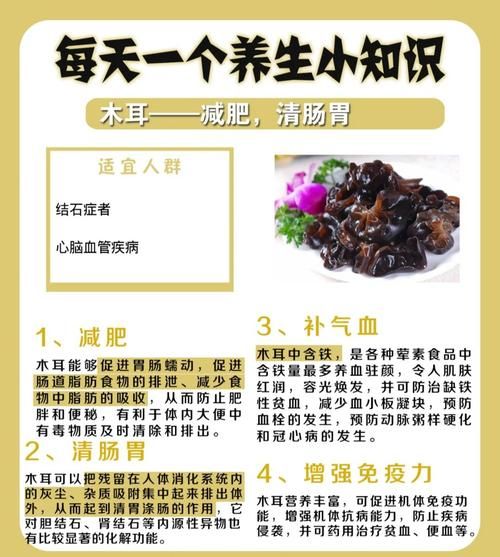 木耳的功效与作用_木耳怎么吃最补血-第1张图片-山城妙识 木耳的功效与作用_木耳怎么吃最补血-第1张图片-山城妙识