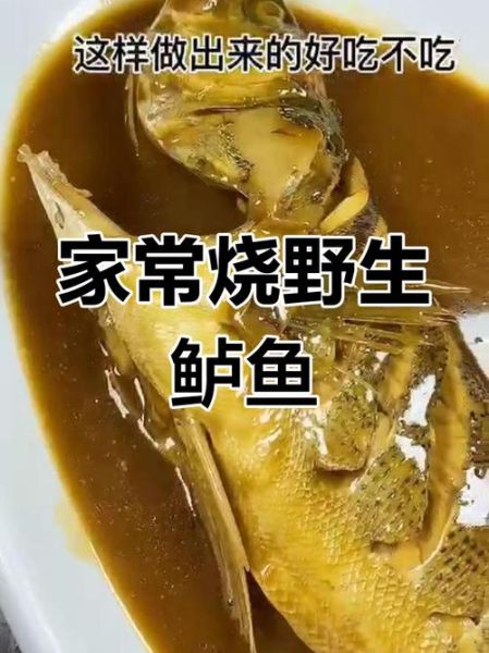 野生鲈鱼多少钱一斤_野生鲈鱼怎么做好吃-第3张图片-山城妙识