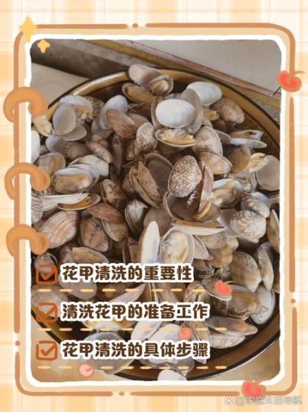 花甲要不要挤掉那坨屎_花甲清洗去沙技巧-第1张图片-山城妙识 花甲要不要挤掉那坨屎_花甲清洗去沙技巧-第1张图片-山城妙识