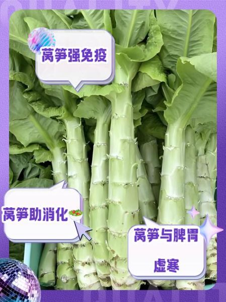 莴苣可以生吃吗_生吃莴苣安全吗-第2张图片-山城妙识 莴苣可以生吃吗_生吃莴苣安全吗-第2张图片-山城妙识