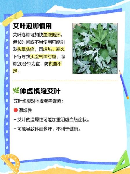 艾叶泡脚的功效与作用_艾叶的副作用有哪些-第3张图片-山城妙识 艾叶泡脚的功效与作用_艾叶的副作用有哪些-第3张图片-山城妙识