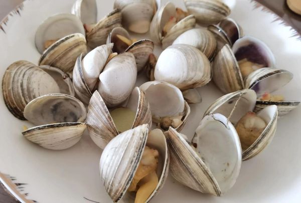 蚬子怎么煮才干净_蚬子水煮需要焯水吗-第3张图片-山城妙识