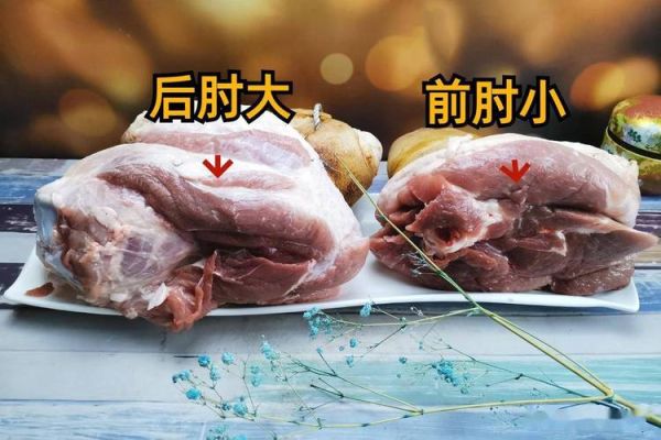 猪肘子是哪个部位_猪肘子分前后腿吗-第1张图片-山城妙识 猪肘子是哪个部位_猪肘子分前后腿吗-第1张图片-山城妙识