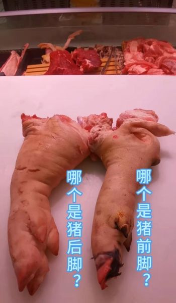 猪肘子是哪个部位_猪肘子分前后腿吗-第3张图片-山城妙识 猪肘子是哪个部位_猪肘子分前后腿吗-第3张图片-山城妙识