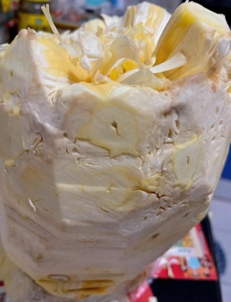 菠萝蜜怎么剥_菠萝蜜剥开技巧-第3张图片-山城妙识 菠萝蜜怎么剥_菠萝蜜剥开技巧-第3张图片-山城妙识