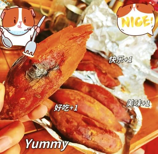 烤箱烤红薯怎么烤才好吃_烤红薯温度时间设置-第1张图片-山城妙识