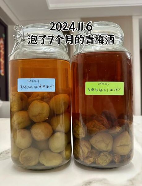 梅子酒泡多久可以喝_梅子酒最佳浸泡时间-第1张图片-山城妙识 梅子酒泡多久可以喝_梅子酒最佳浸泡时间-第1张图片-山城妙识
