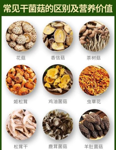 蘑菇的营养价值_蘑菇怎么吃最营养-第2张图片-山城妙识