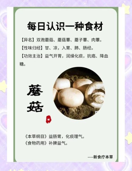 蘑菇的营养价值_蘑菇怎么吃最营养-第1张图片-山城妙识