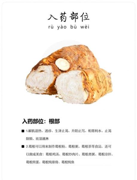 葛根的功效与作用_葛根怎么吃效果最好-第1张图片-山城妙识