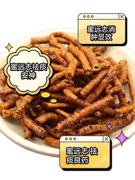 蜜远志的功效与作用_蜜远志怎么吃效果最好-第2张图片-山城妙识