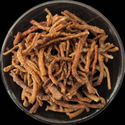 蜜远志的功效与作用_蜜远志怎么吃效果最好-第3张图片-山城妙识