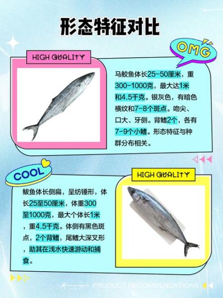 土魠鱼和马鲛鱼一样吗_土魠鱼与马鲛鱼的区别-第2张图片-山城妙识 土魠鱼和马鲛鱼一样吗_土魠鱼与马鲛鱼的区别-第2张图片-山城妙识