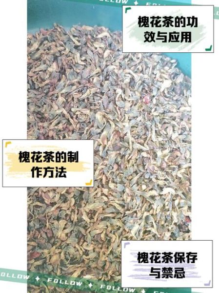 槐花茶多少钱一斤_槐花茶价格影响因素-第1张图片-山城妙识