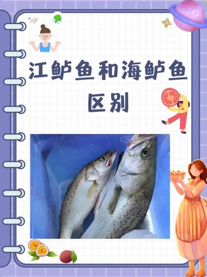 鲈鱼是海鱼还是河鱼_淡水鲈鱼和海鲈鱼的区别-第1张图片-山城妙识