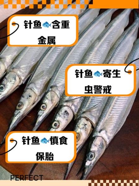 针鱼是什么鱼_针鱼怎么吃最好吃-第1张图片-山城妙识