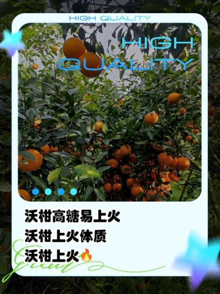 沃柑是去火还是上火_吃沃柑会上火吗-第1张图片-山城妙识