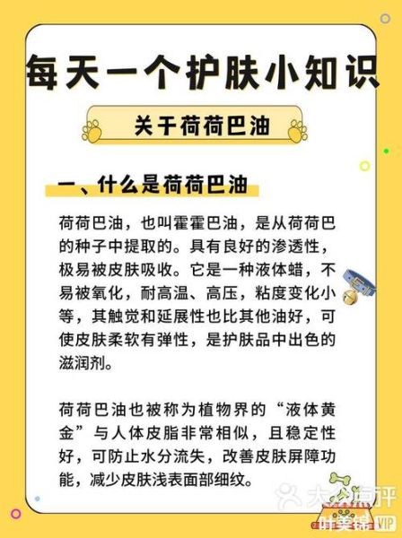 荷荷巴油的功效与作用_荷荷巴油怎么用效果最好-第2张图片-山城妙识