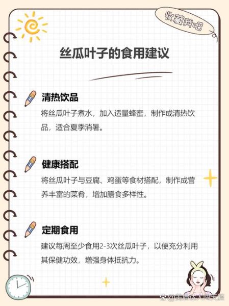 丝瓜叶怎么吃_丝瓜叶的做法大全-第1张图片-山城妙识 丝瓜叶怎么吃_丝瓜叶的做法大全-第1张图片-山城妙识