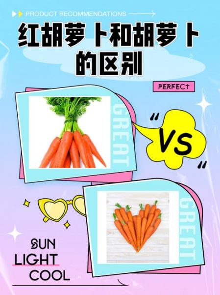 胡萝卜和红萝卜的区别_哪个营养价值更高-第1张图片-山城妙识