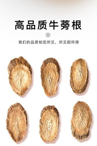 牛蒡根多少钱一斤_牛蒡根价格行情-第3张图片-山城妙识