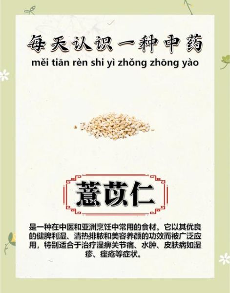 薏仁怎么吃最祛湿_薏仁的正确食用方法-第2张图片-山城妙识 薏仁怎么吃最祛湿_薏仁的正确食用方法-第2张图片-山城妙识