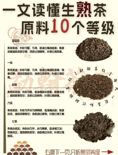 普洱茶属于什么茶叶_普洱是黑茶还是单独分类-第1张图片-山城妙识 普洱茶属于什么茶叶_普洱是黑茶还是单独分类-第1张图片-山城妙识