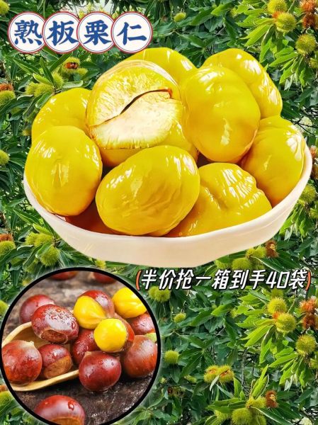 板栗怎么煮好吃又香好剥皮_生板栗快速去壳技巧-第3张图片-山城妙识 板栗怎么煮好吃又香好剥皮_生板栗快速去壳技巧-第3张图片-山城妙识