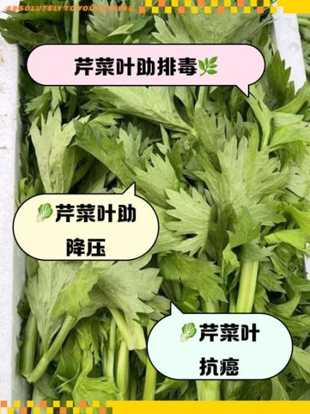孕妇能吃芹菜叶吗_芹菜叶对胎儿有影响吗-第1张图片-山城妙识